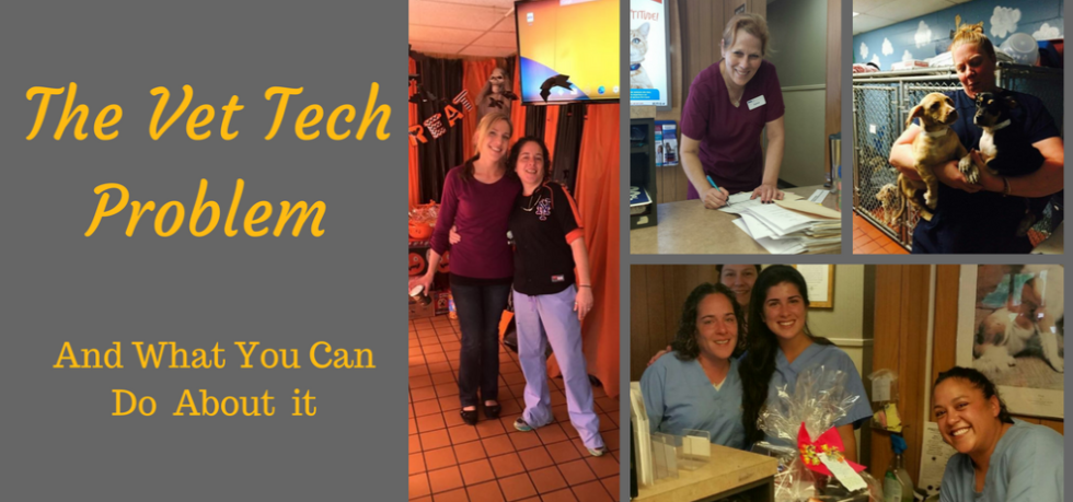 The Vet Tech Problem and What You Can Do About It - The Vetitude