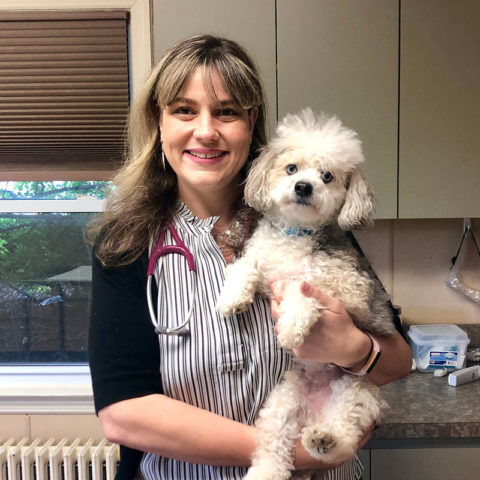 About Dr. Lauren Smith | Veterinarian - The Vetitude